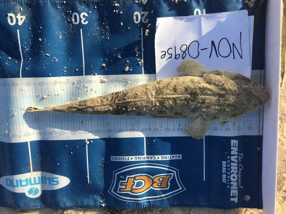 IMG_8100 | Get Fishing